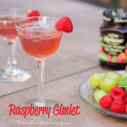 Raspberry Gimlet - Dizzy Busy and Hungry!