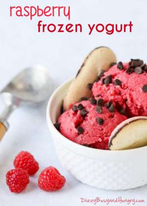Raspberry Frozen Yogurt - Dizzy Busy and Hungry!