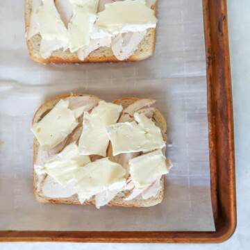 Brie Grilled Cheese with Turkey - Dizzy Busy and Hungry!