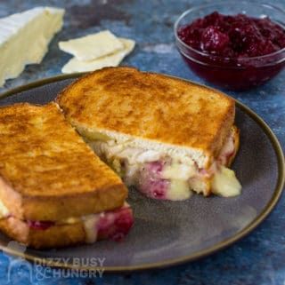 Brie Grilled Cheese with Turkey - Dizzy Busy and Hungry!
