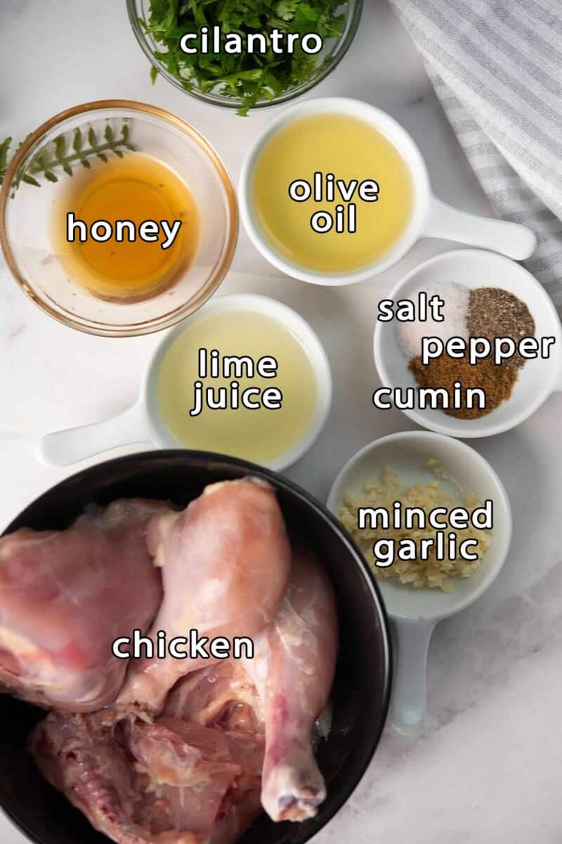 Easy Cilantro Lime Chicken Marinade - Dizzy Busy and Hungry!