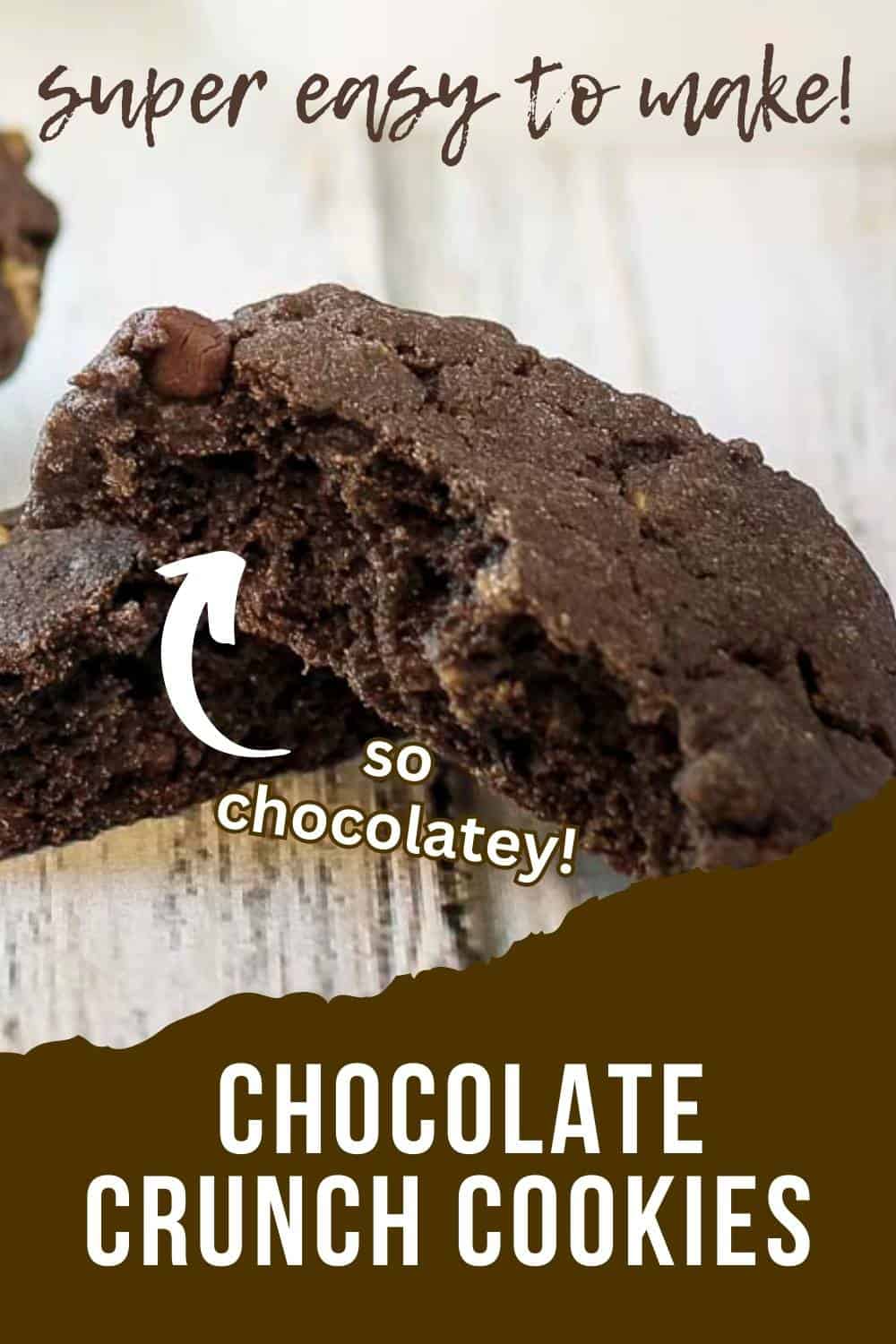 Chocolate Crunch Cookies - Dizzy Busy and Hungry!