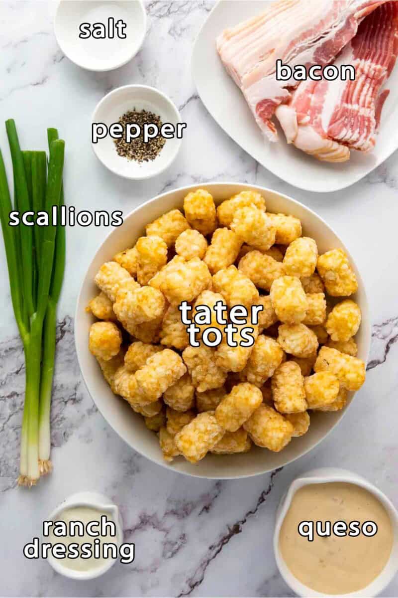 Crowd Pleasing Loaded Tater Tots Appetizer - Dizzy Busy and Hungry!
