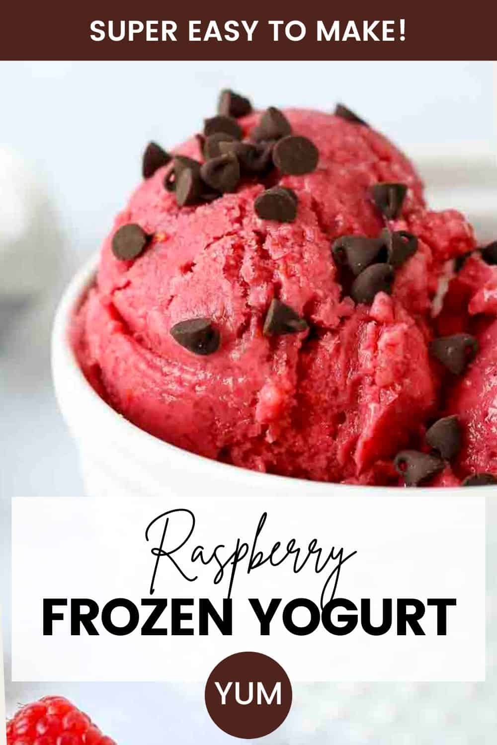 5 Minute Raspberry Frozen Yogurt - Dizzy Busy and Hungry!