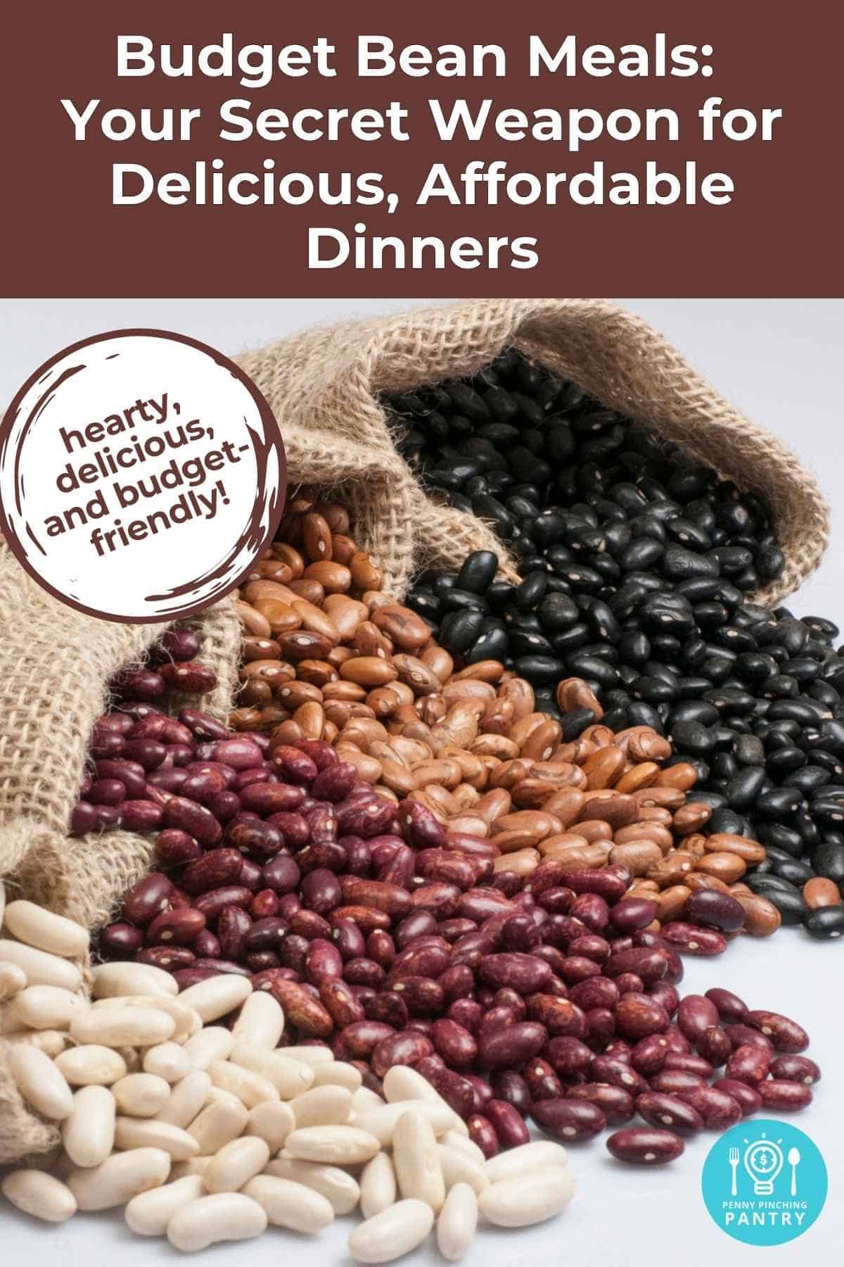 Budget Bean Meals: A Secret Weapon for Affordable Dinners - Dizzy Busy ...