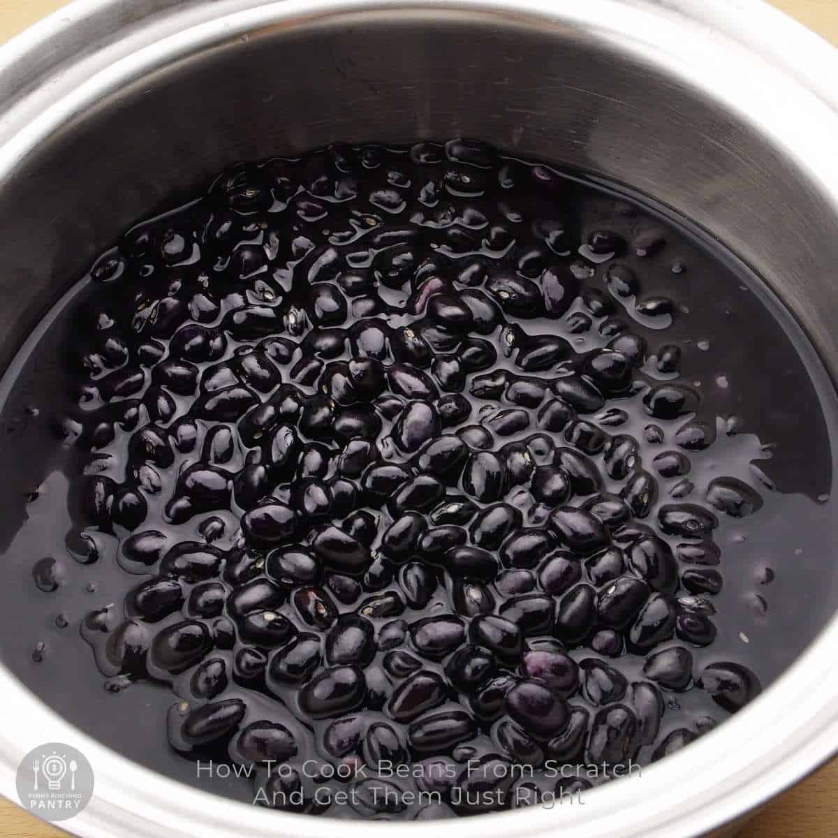 How To Cook Beans From Scratch And Get Them Just Right - Dizzy Busy and ...