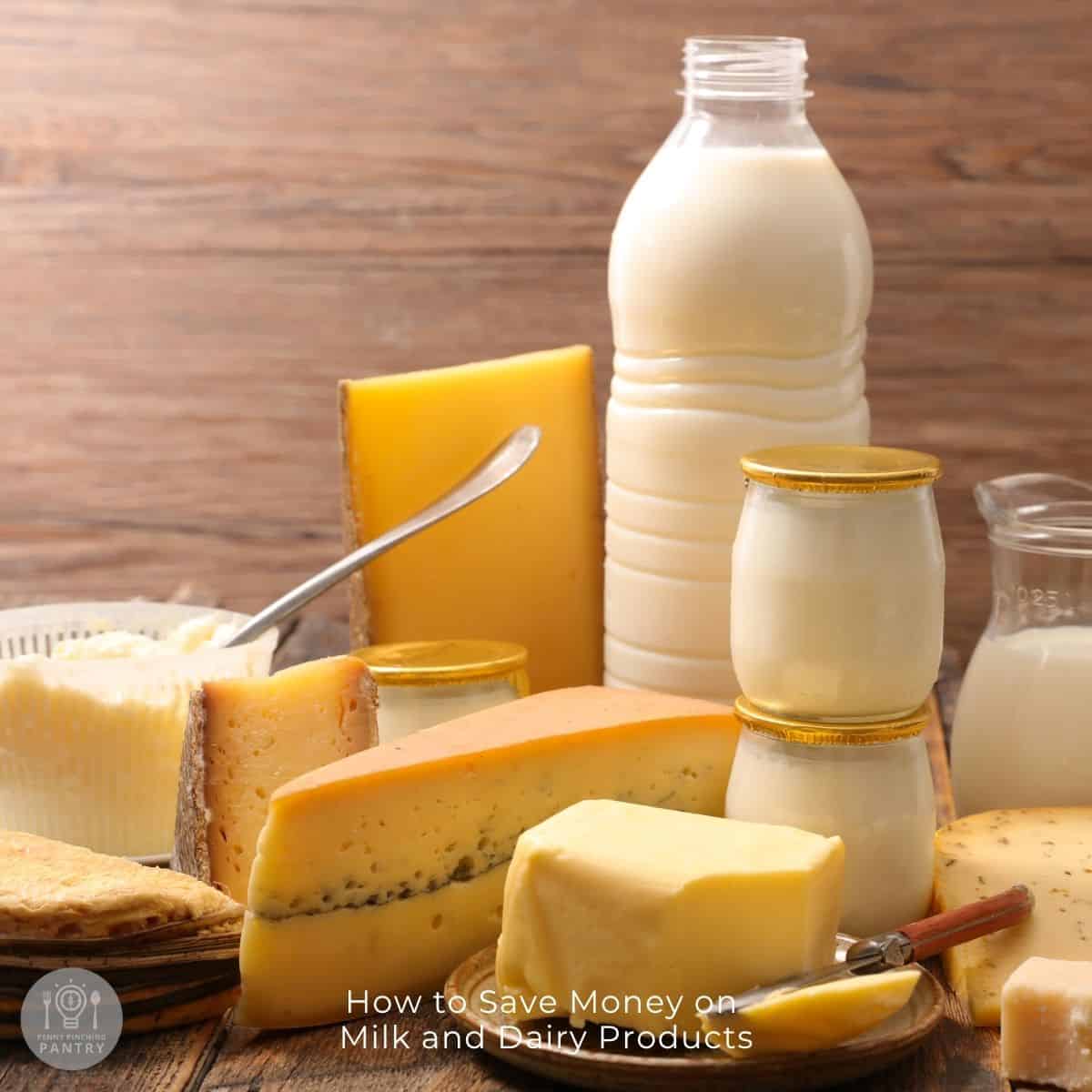 How to Save Money on Milk and Dairy Products - Dizzy Busy and Hungry!